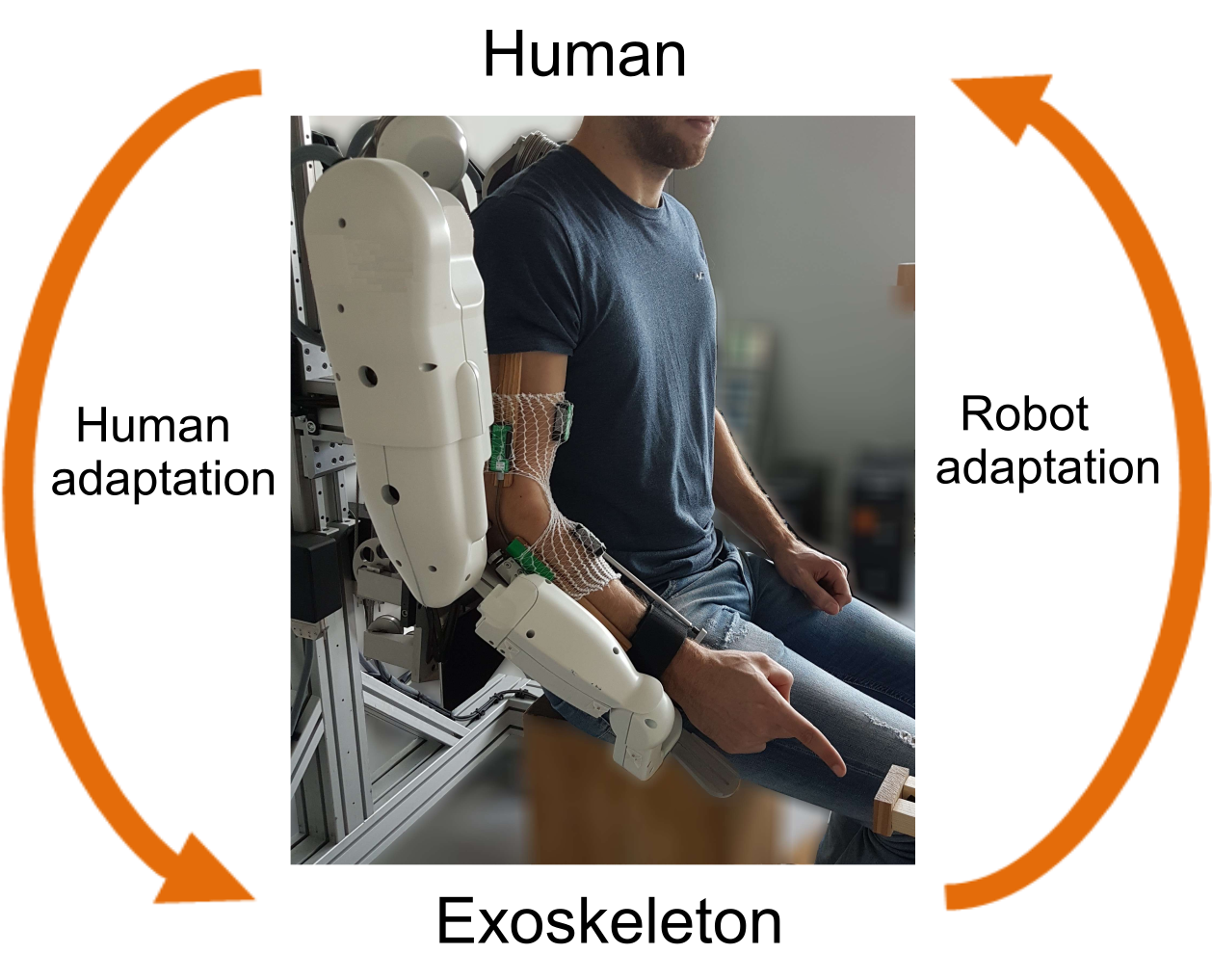 EXOMAN project – Research project funded by the ANR